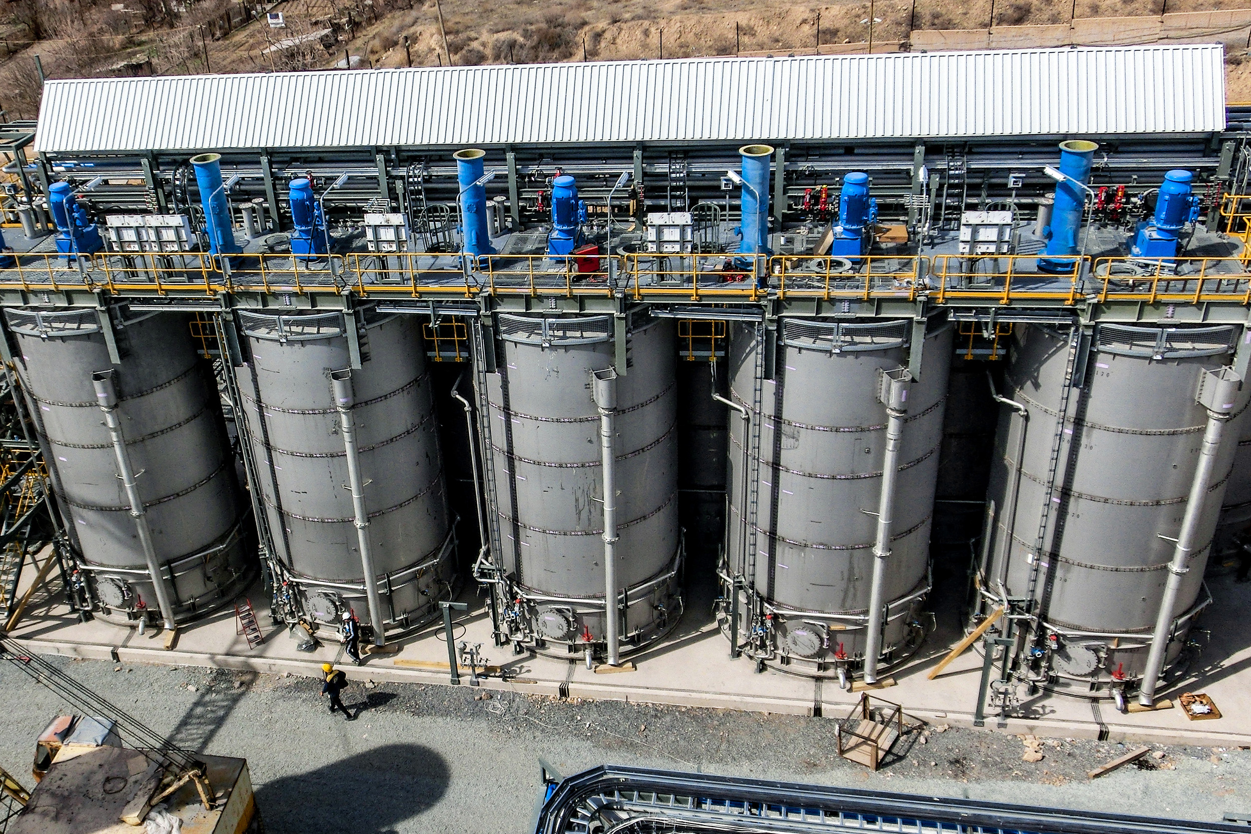 The Albion Process™